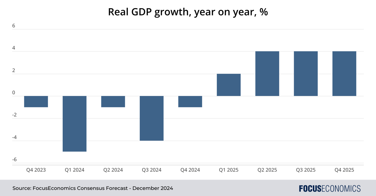 Argentina's Economy Under Milei: Inflation, GDP & Reform Results